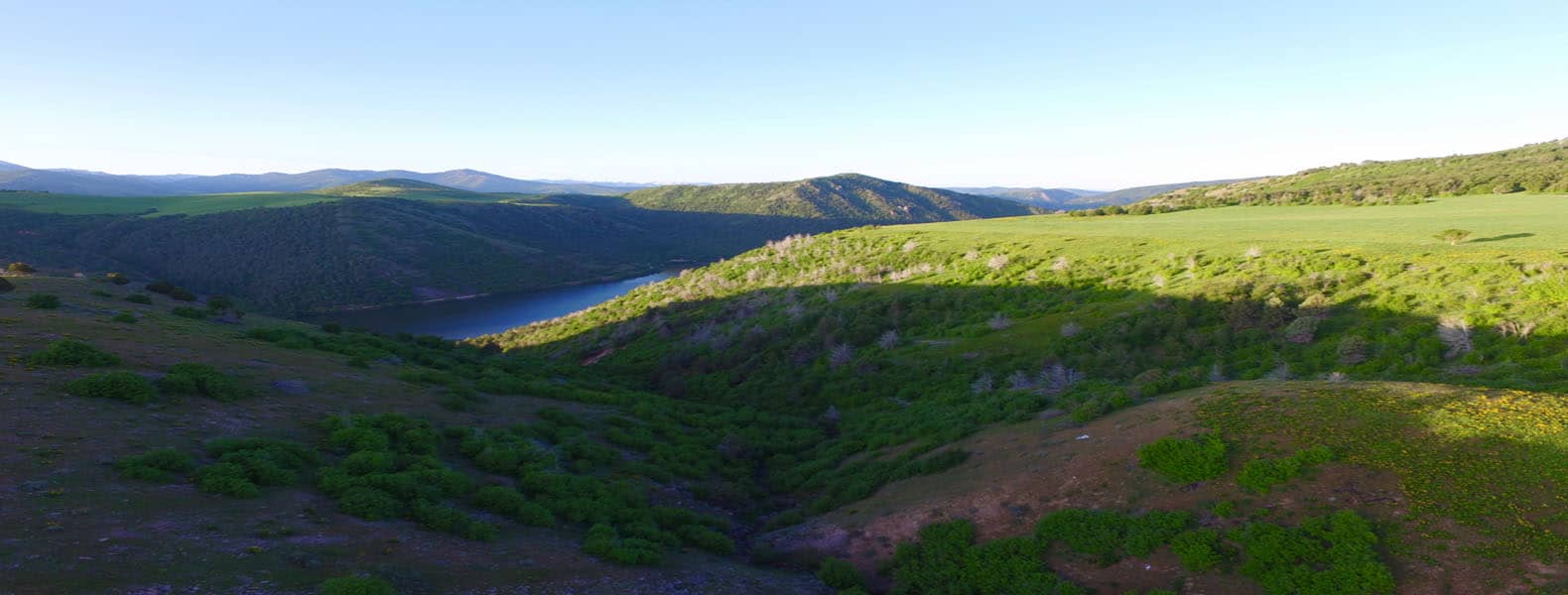 High Desert Ranch | Big Game Hunting and Cattle Ranch | Fay Ranches