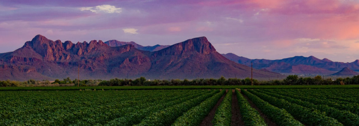 Arizona Ranch Land Properties For Sale | Fay Ranches