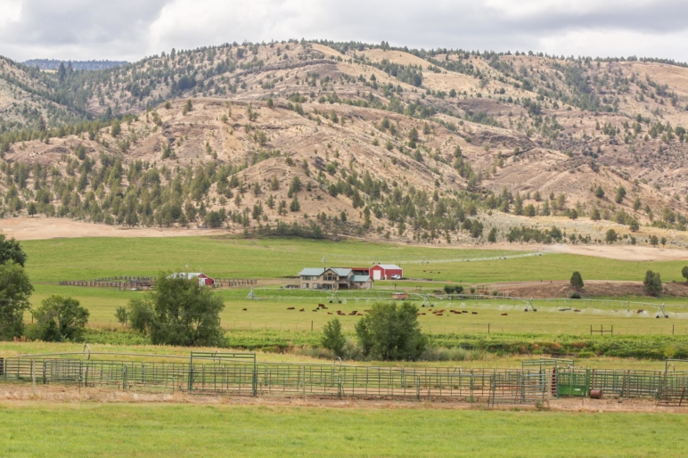 Circle W Ranch | Oregon Riverfront Property For Sale | Fay Ranches