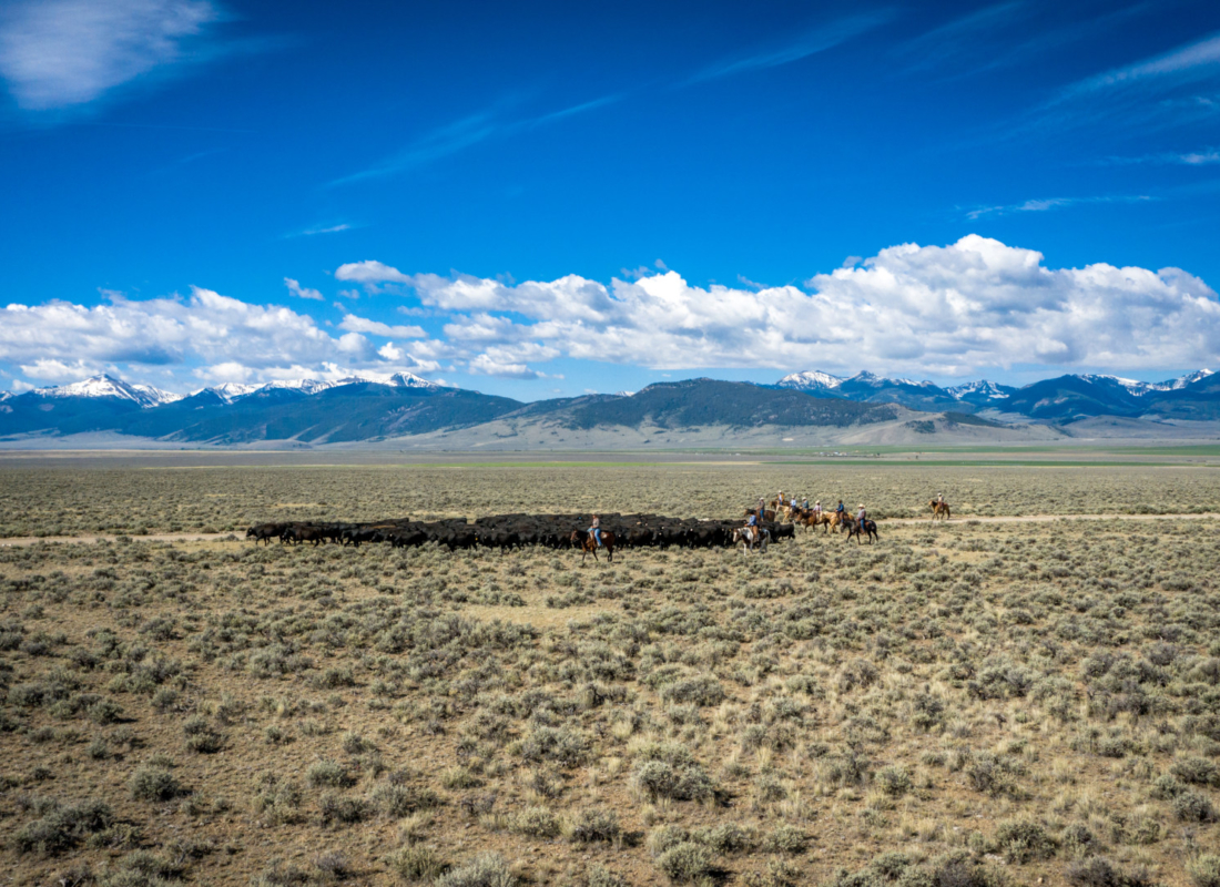 Invest in the American West | Why Idaho? | Fay Ranches