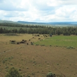 Oregon Ranch Land Properties For Sale | Fay Ranches