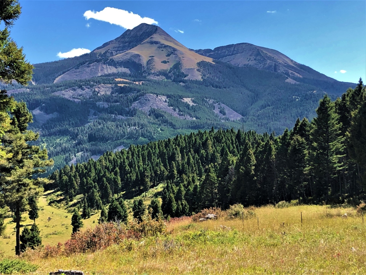 Dancing Bear Ranch | Montana Mountain Retreat | Fay Ranches