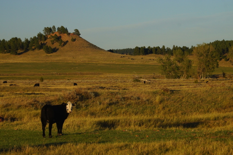 Bar U Ranch | Recluse Wyoming | Fay Ranches