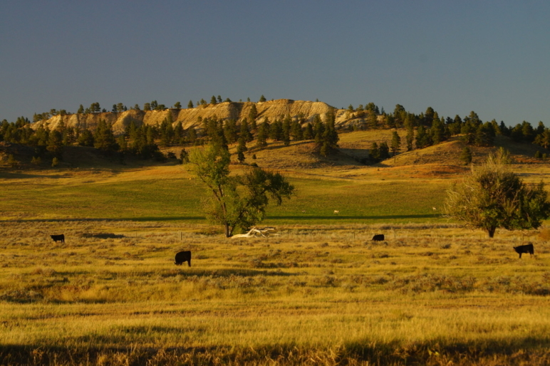 Bar U Ranch | Recluse Wyoming | Fay Ranches