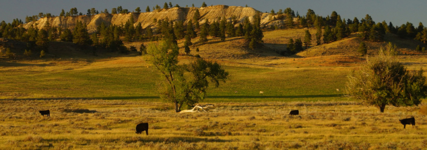 Bar U Ranch | Recluse Wyoming | Fay Ranches