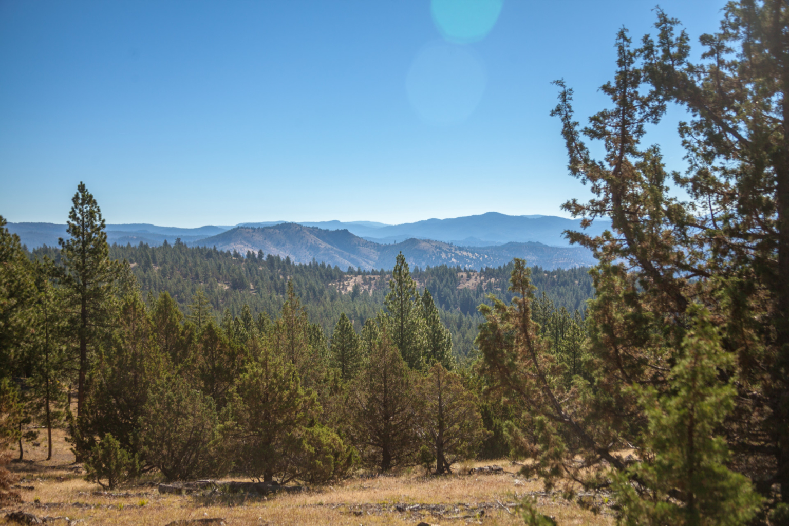 Foley Butte Ranch | Oregon Big Game Hunting | Fay Ranches