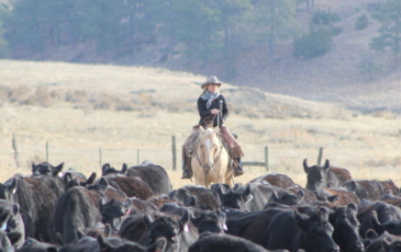 Kebi Smith | Montana Wyoming Real Estate Agent | Fay Ranches