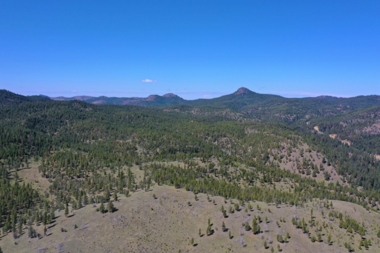 Service Creek Hunting Camp | Eastern Oregon | Fay Ranches