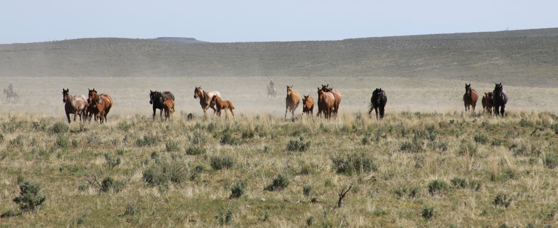 What is a “Ranch”? | Fay Ranches
