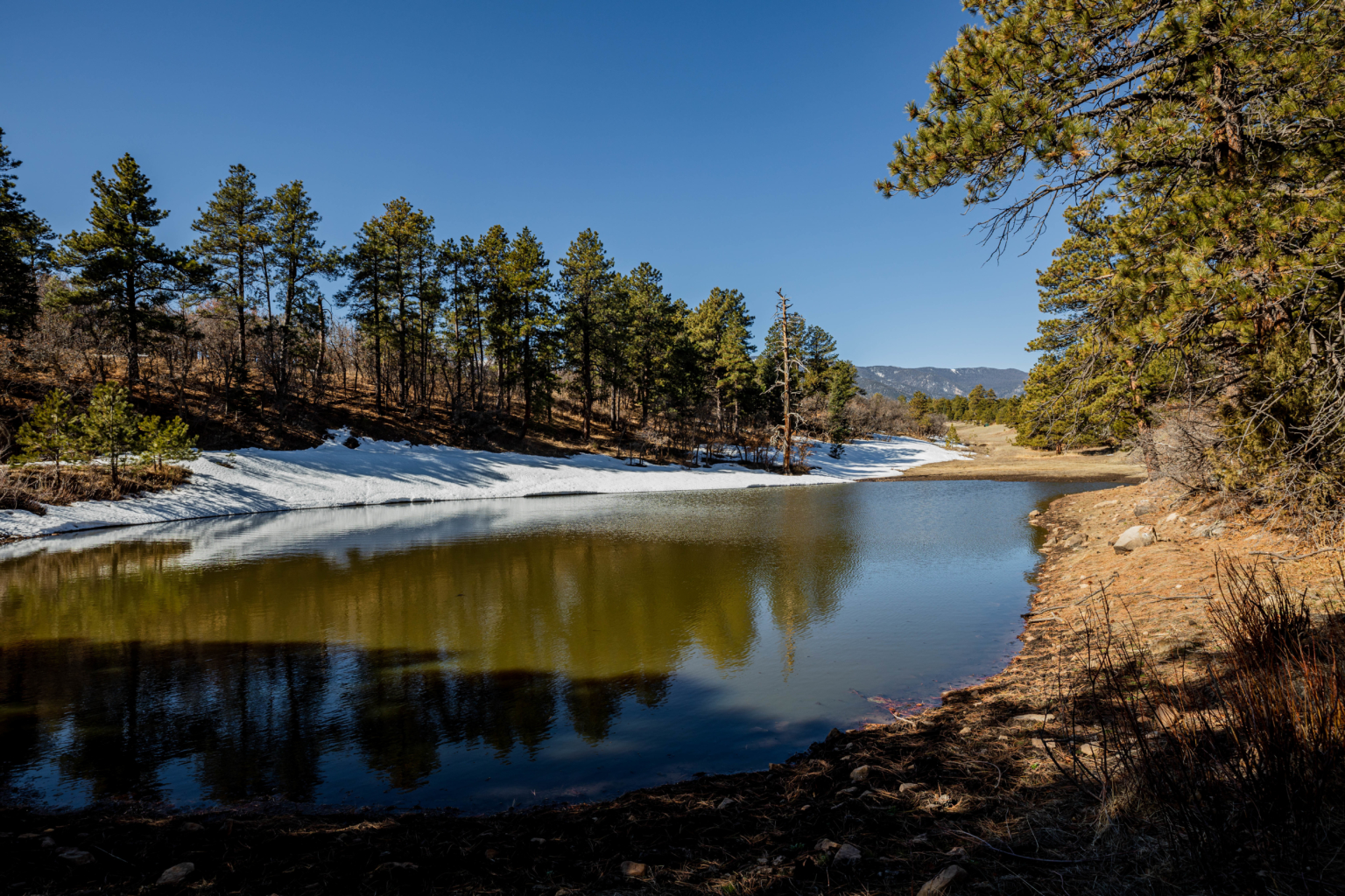Strawberry Ridge Ranch | Colorado Land For Sale | Fay Ranches