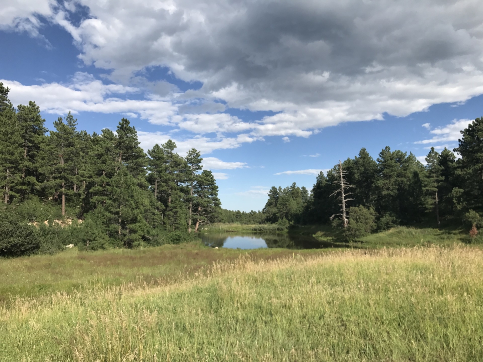 Strawberry Ridge Ranch | Colorado Land For Sale | Fay Ranches