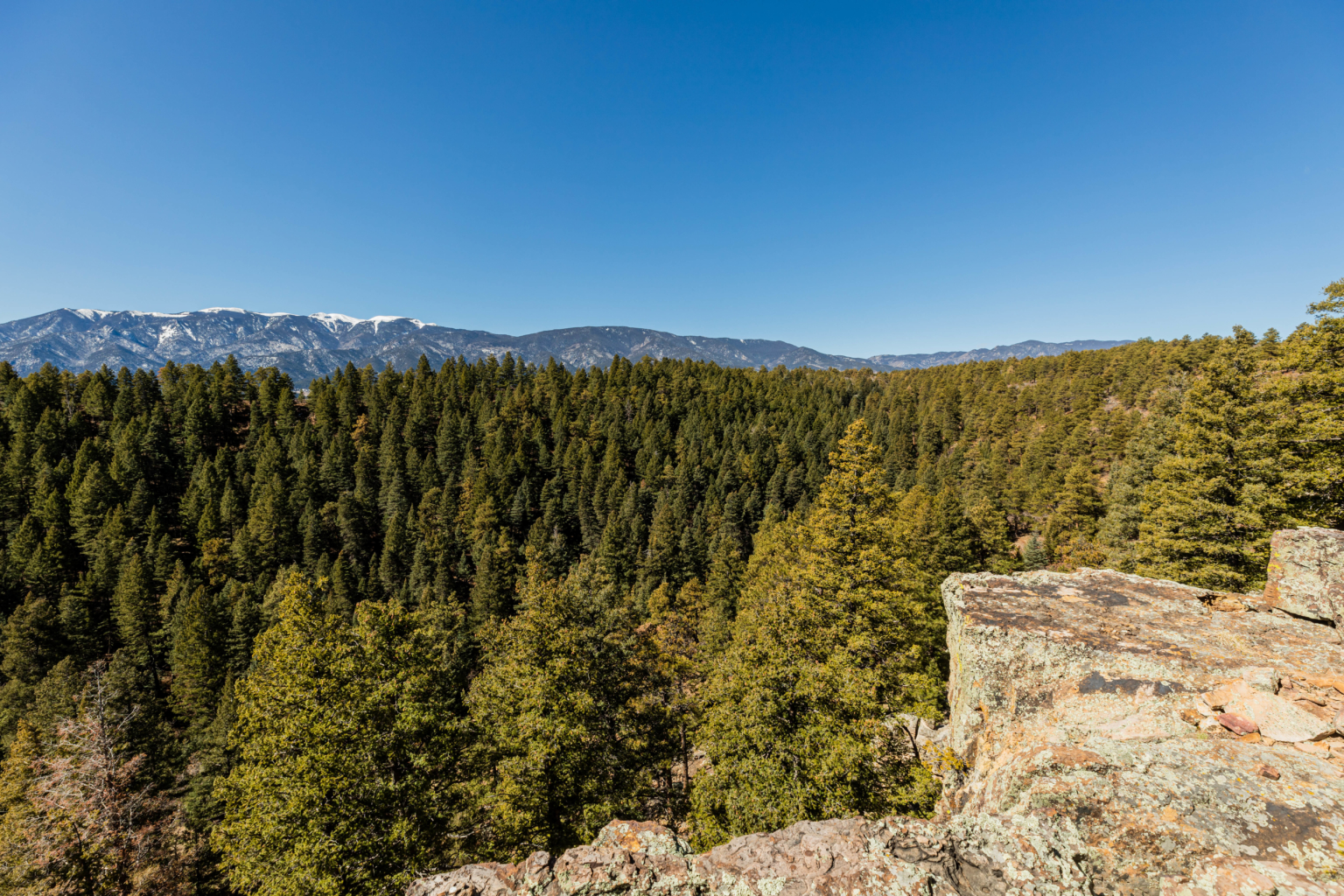 Strawberry Ridge Ranch | Colorado Land For Sale | Fay Ranches