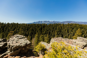 Strawberry Ridge Ranch | Colorado Land For Sale | Fay Ranches