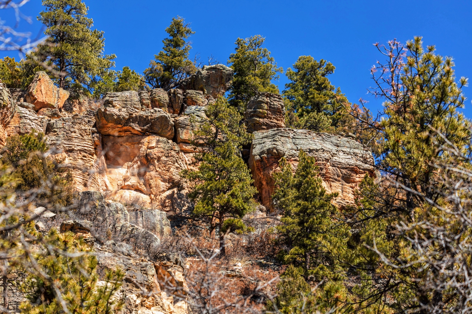 Strawberry Ridge Ranch | Colorado Land For Sale | Fay Ranches