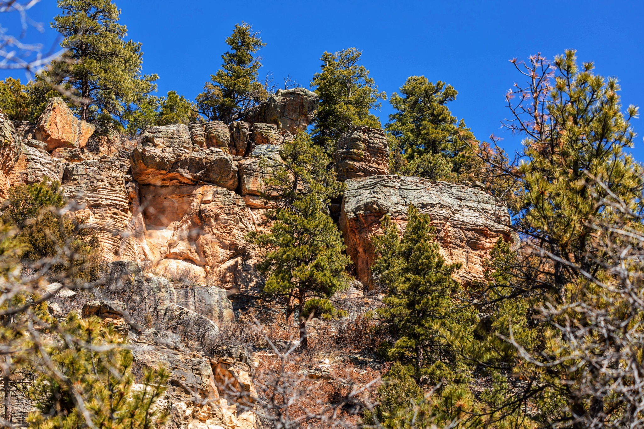Strawberry Ridge Ranch | Colorado Land For Sale | Fay Ranches