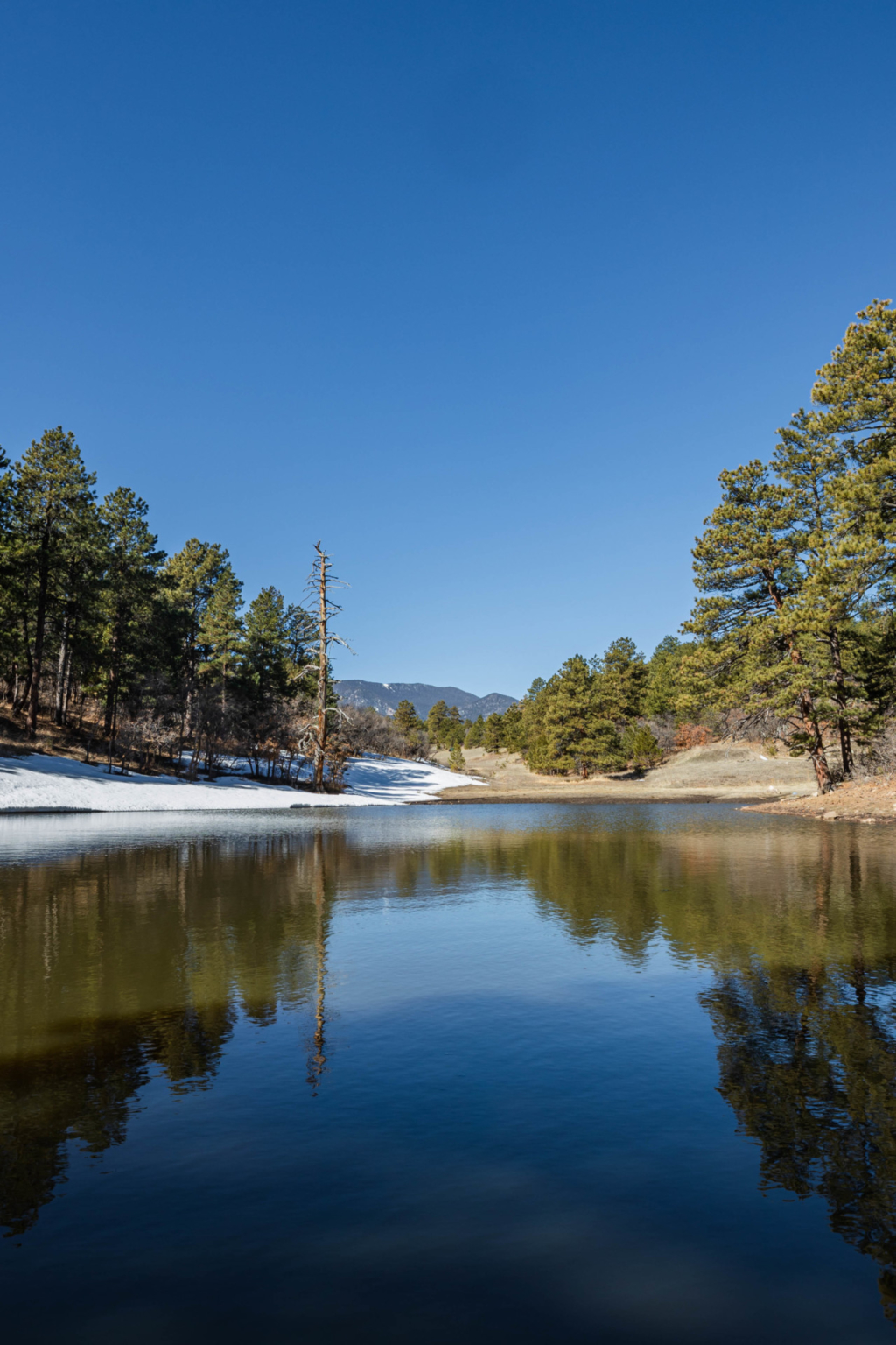 Strawberry Ridge Ranch | Colorado Land For Sale | Fay Ranches