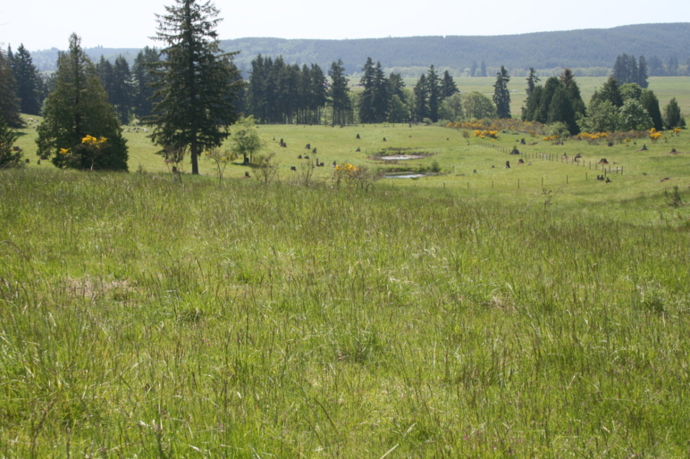 Tenino Equine Center | Tenino Washington | Fay Ranches