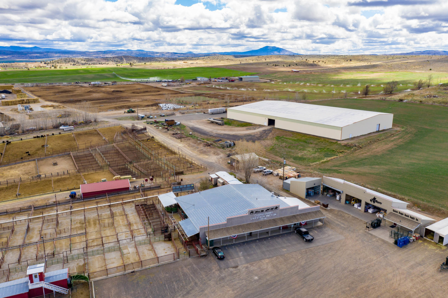 Greens' Feedlot | Madras Oregon Cattle Feedlot | Fay Ranches