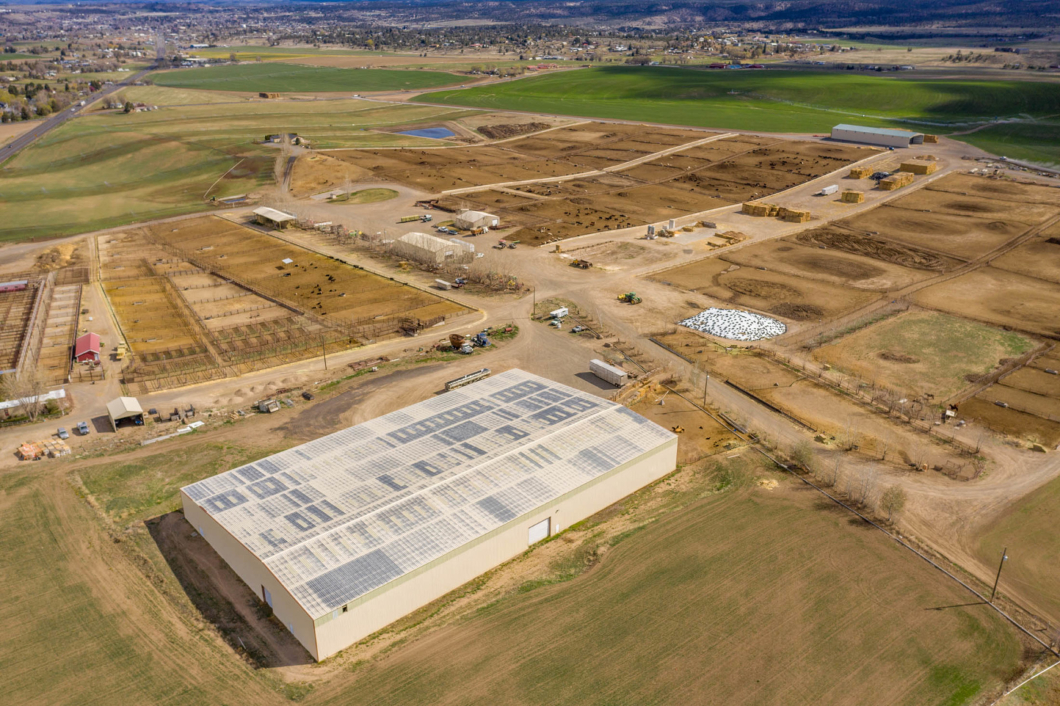 Greens' Feedlot | Madras Oregon Cattle Feedlot | Fay Ranches