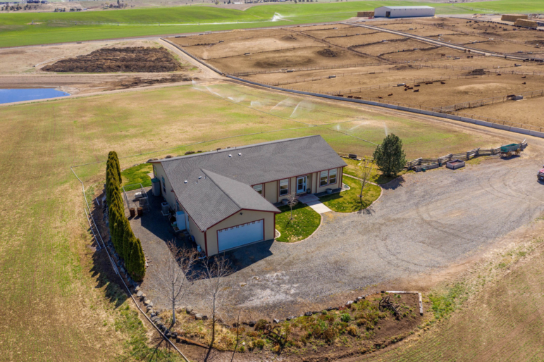 Greens' Feedlot | Madras Oregon Cattle Feedlot | Fay Ranches