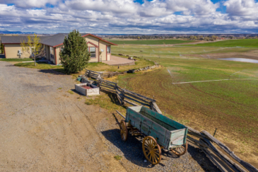 Greens' Feedlot | Madras Oregon Cattle Feedlot | Fay Ranches