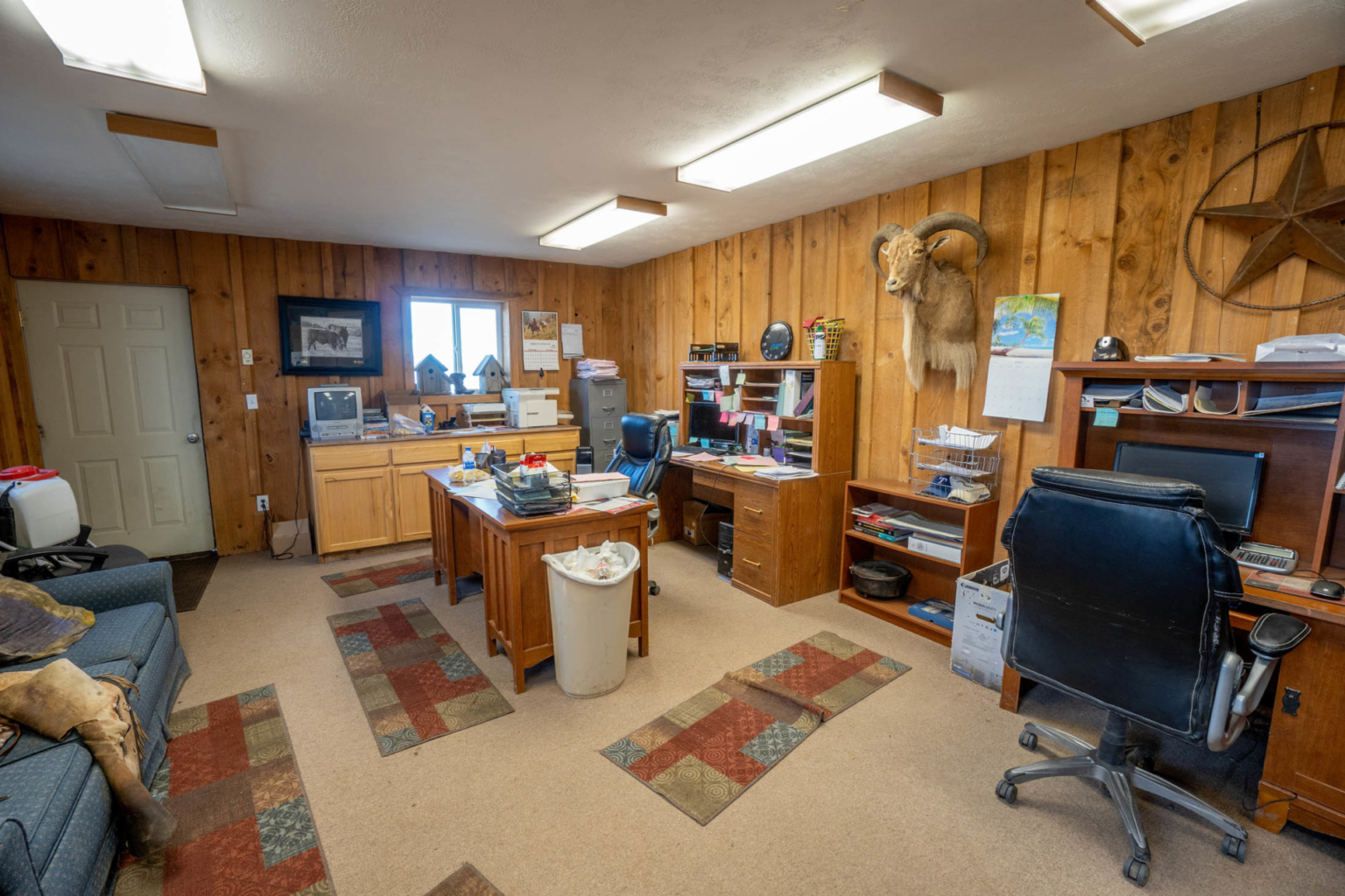 Greens' Feedlot | Madras Oregon Cattle Feedlot | Fay Ranches
