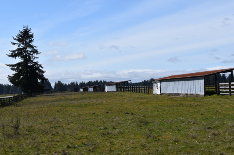 T90 Cattle Ranch | Tenino Washington | Fay Ranches