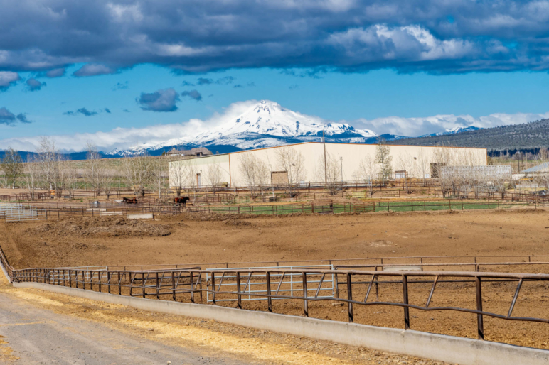 Greens' Feedlot | Madras Oregon Cattle Feedlot | Fay Ranches