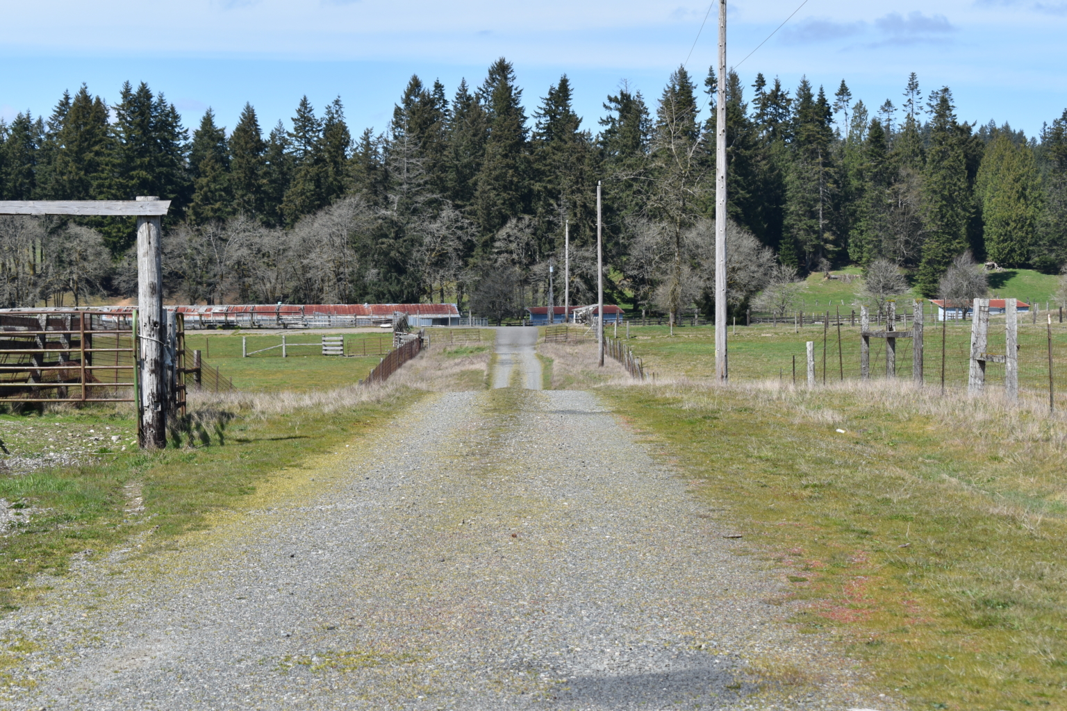 T90 Cattle Ranch | Tenino Washington | Fay Ranches