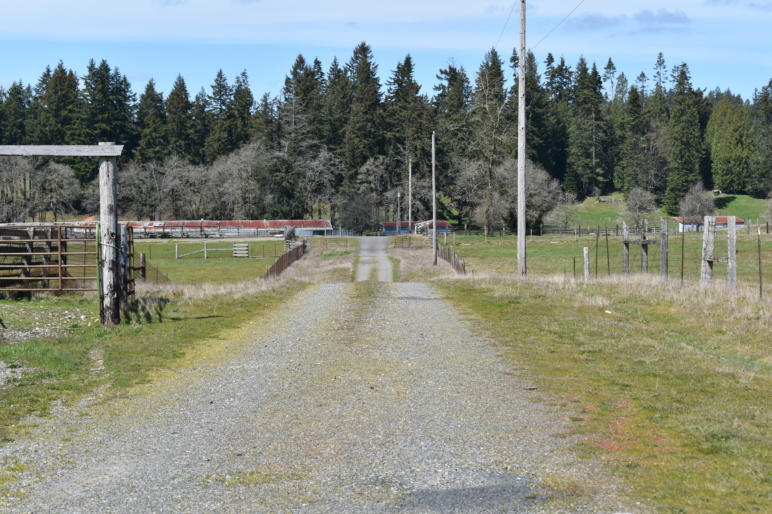 T90 Cattle Ranch | Tenino Washington | Fay Ranches