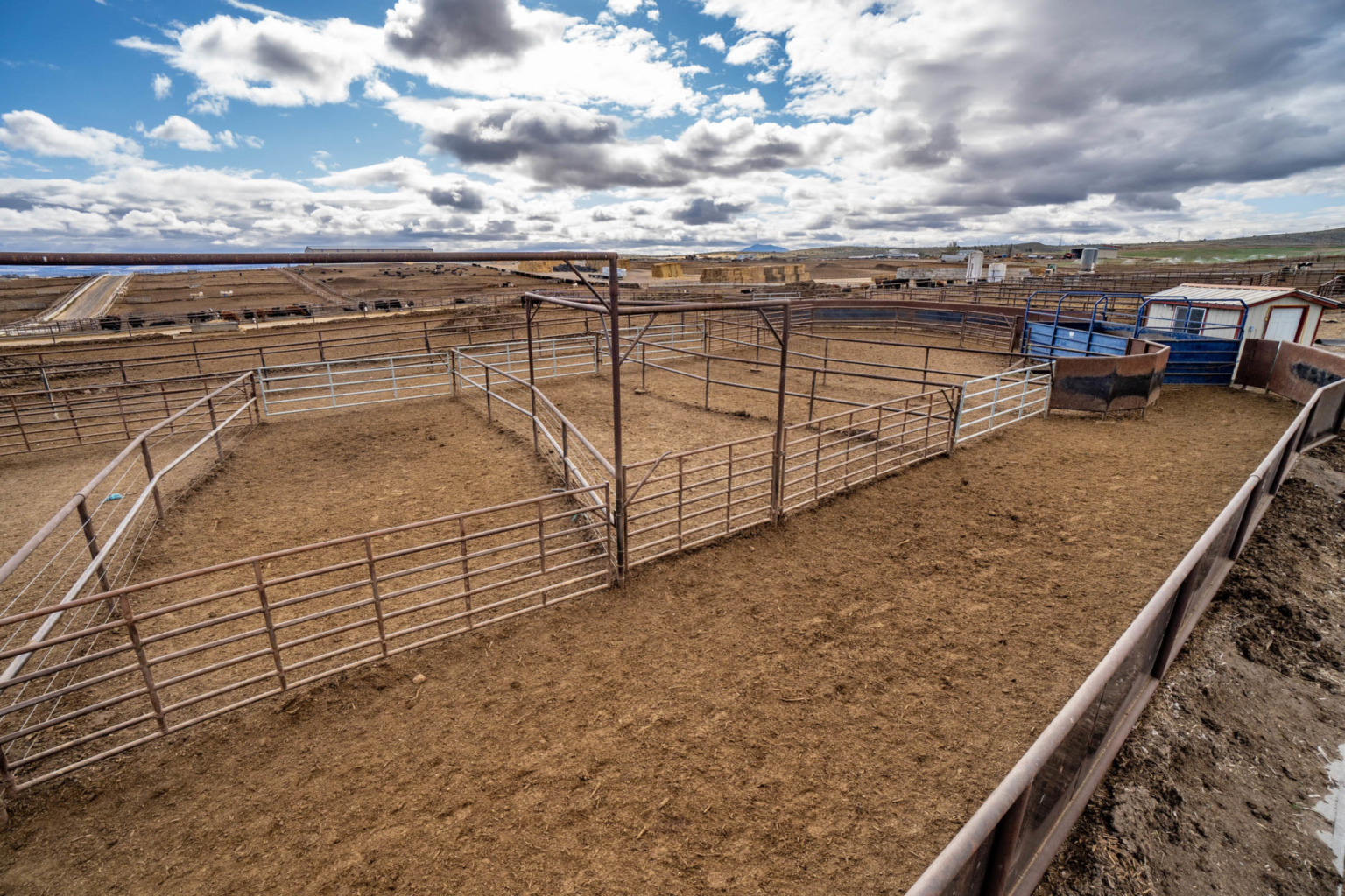 Greens' Feedlot | Madras Oregon Cattle Feedlot | Fay Ranches