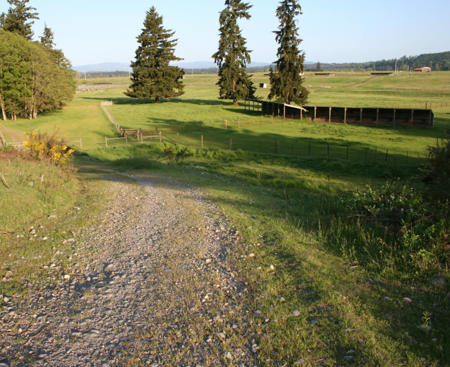 T90 Cattle Ranch | Tenino Washington | Fay Ranches