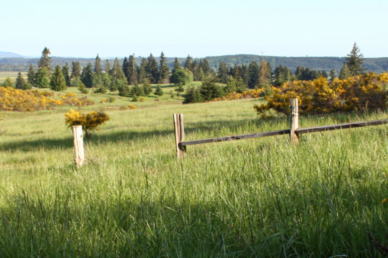 Washington Ranch Land Properties For Sale | Fay Ranches