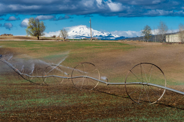 Greens' Feedlot | Madras Oregon Cattle Feedlot | Fay Ranches
