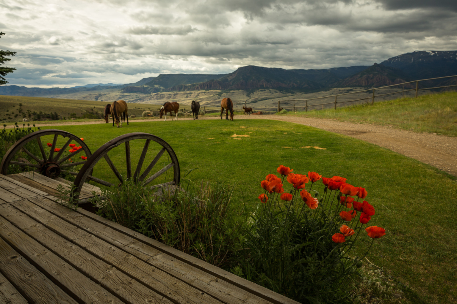 Wyoming's Star Hill Ranch | Cody Wyoming | Fay Ranches
