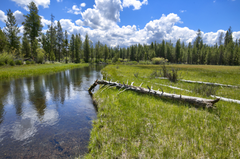 Fall River Ranch | Bend Oregon | Fay Ranches