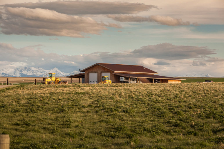 Bridger View Farm | Manhattan Montana | Fay Ranches