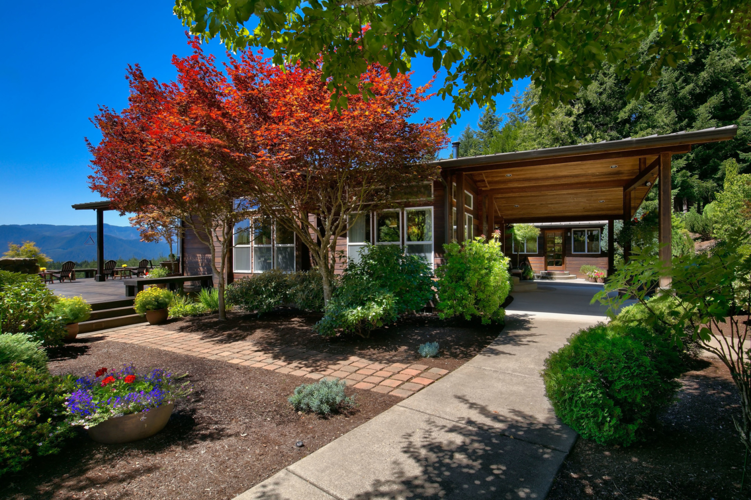 Thunder Ranch | Oakridge Oregon Timberland | Fay Ranches