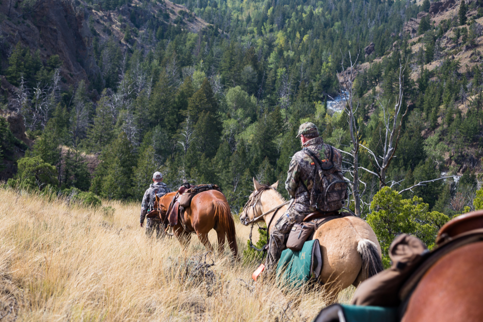 Wyoming's Star Hill Ranch | Cody Wyoming | Fay Ranches
