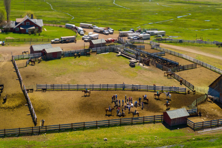 Oregon Ranch Land Properties For Sale | Fay Ranches