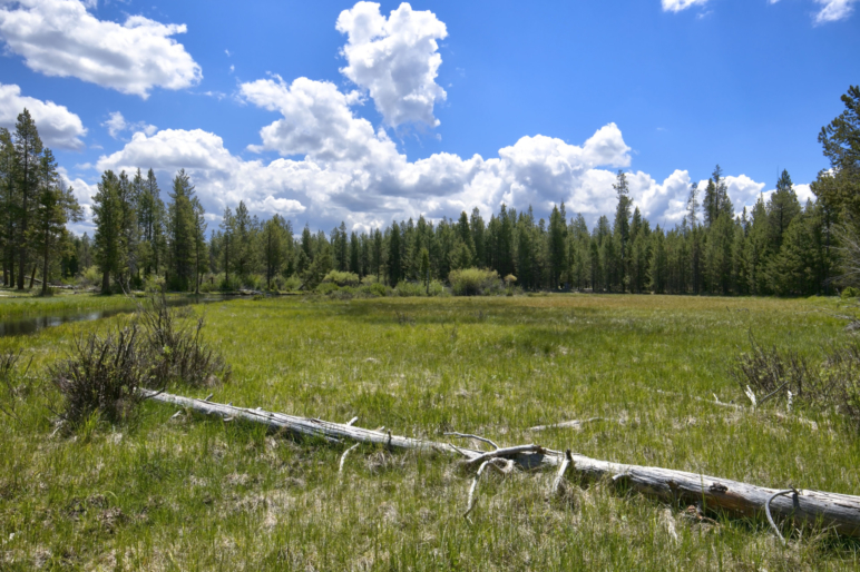 Fall River Ranch | Bend Oregon | Fay Ranches