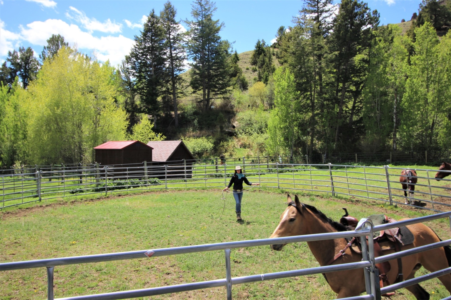 Wyoming's Star Hill Ranch | Cody Wyoming | Fay Ranches