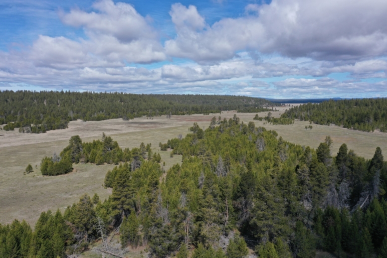 Rocky Ford Ranch | Williamson River Frontage | Fay Ranches