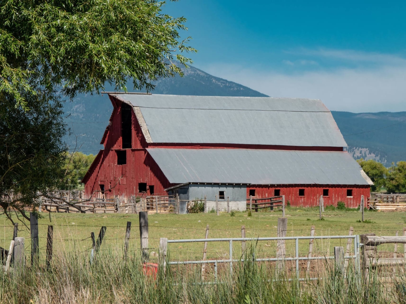 Chandler Hereford Ranch | Oregon Cattle Ranch | Fay Ranches