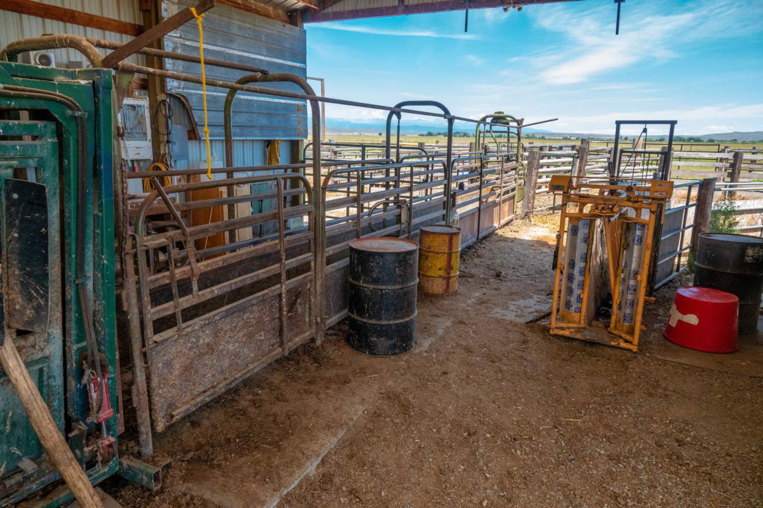Chandler Hereford Ranch | Oregon Cattle Ranch | Fay Ranches