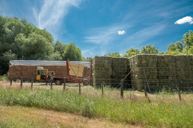 Chandler Hereford Ranch | Oregon Cattle Ranch | Fay Ranches