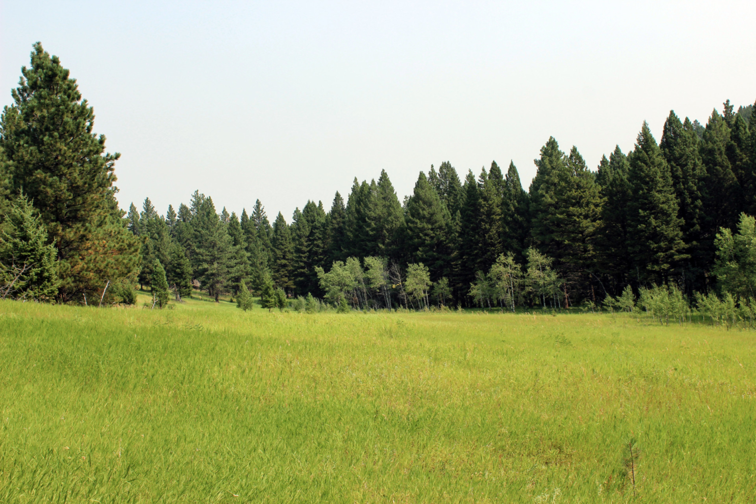Colorado Gulch Retreat | Helena Montana | Fay Ranches