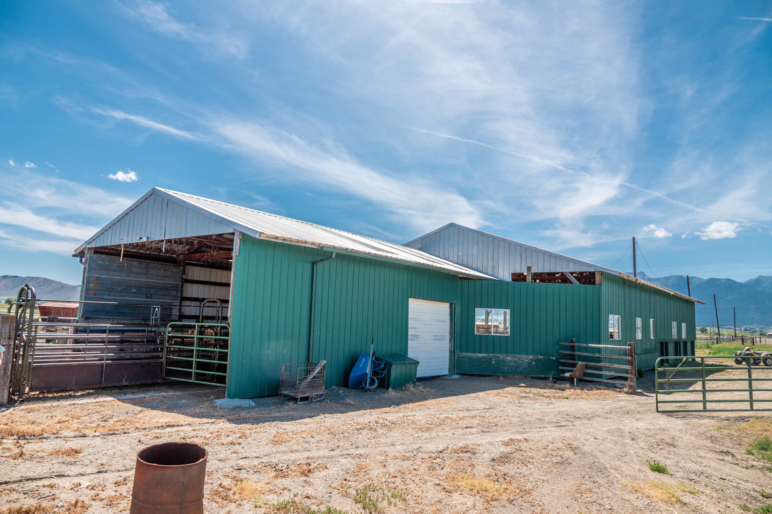 Chandler Hereford Ranch | Oregon Cattle Ranch | Fay Ranches