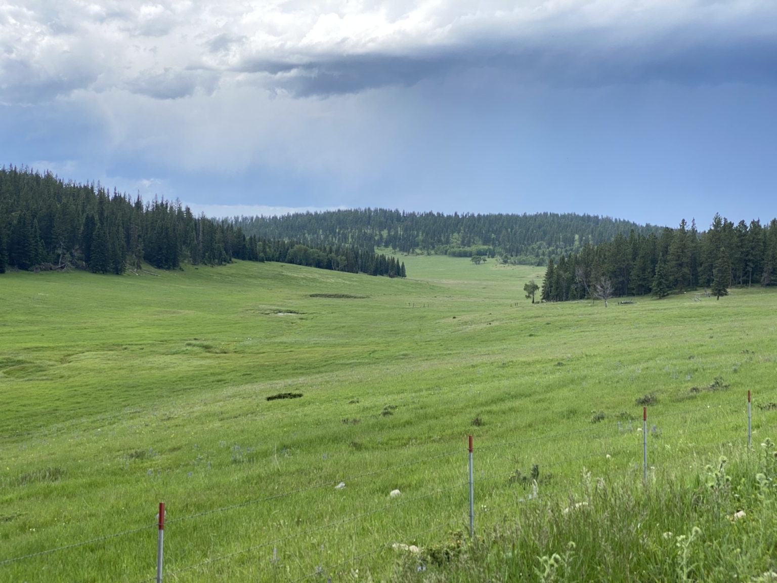 Boles Canyon Ranch | Hill City South Dakota | Fay Ranches