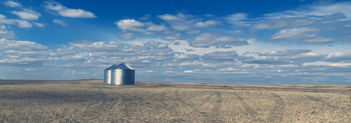 High Line Organic Wheat Farm | Dodson Montana | Fay Ranches